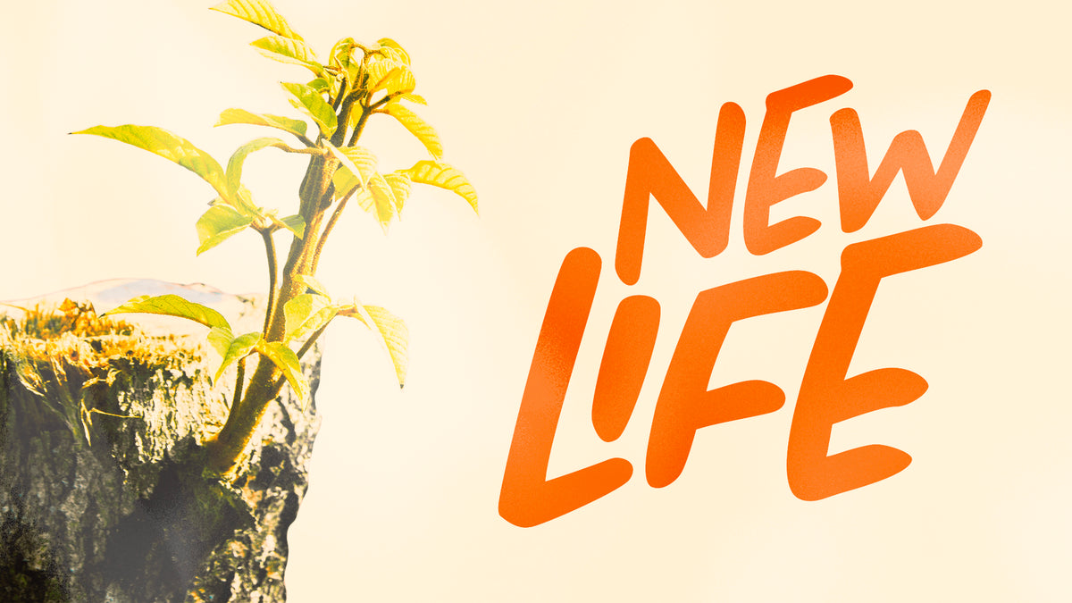 New Life - Youth Ministry Kit – Ministry to Youth