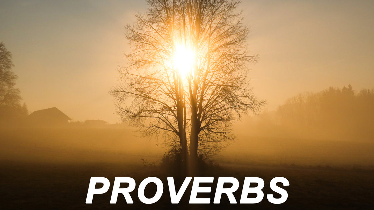 Proverbs: 4-Week Bible Study – Ministry to Youth