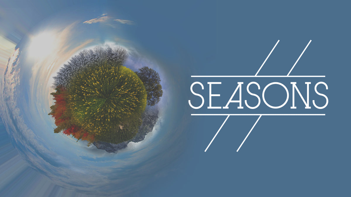 SEASONS | Junior High Bible Series – Ministry to Youth